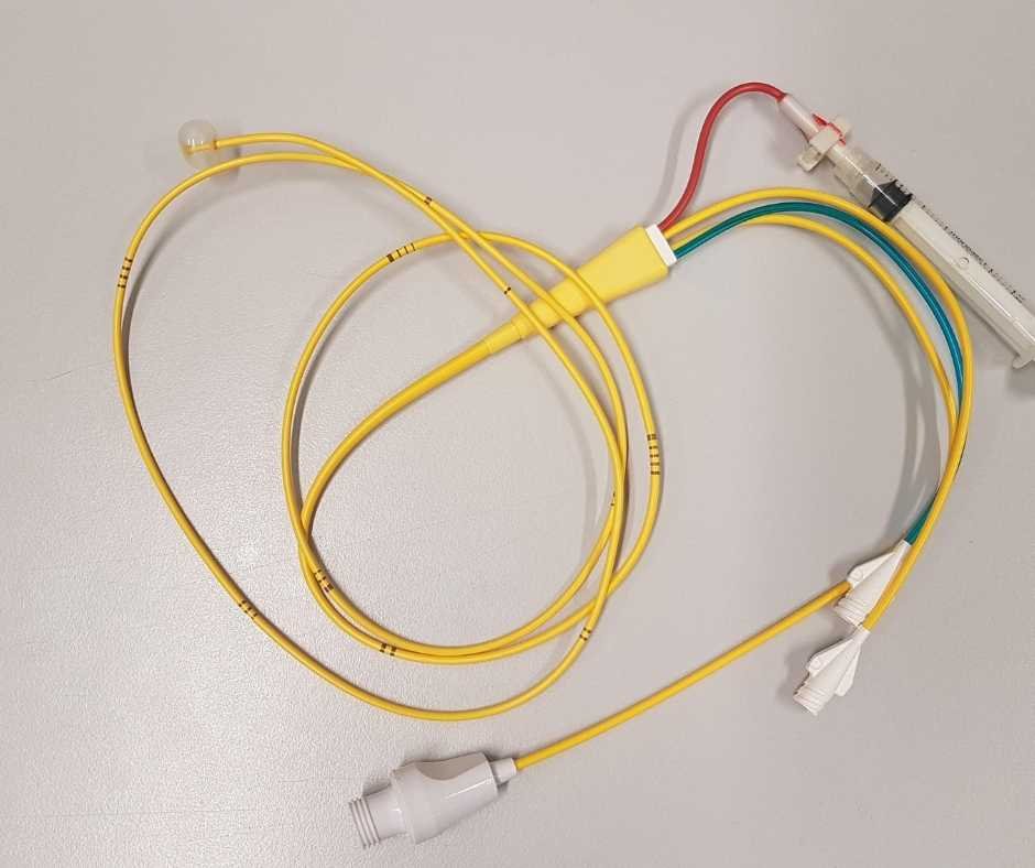 Catheters & Catheter Care Online Module | Avalon Care And Safety Training